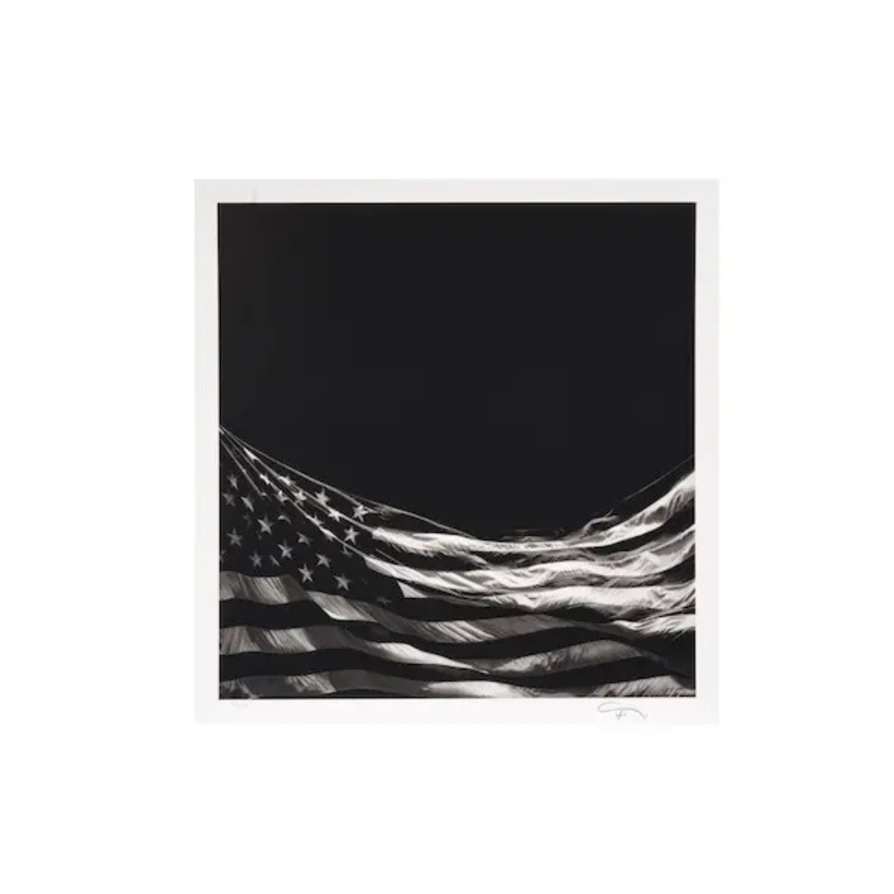 Robert Longo - Untitled (Falling Flag) 2025 – LYNART STORE